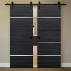 Nova 4H Braga Blu Matrix Laminated Modern Double Barn Door
